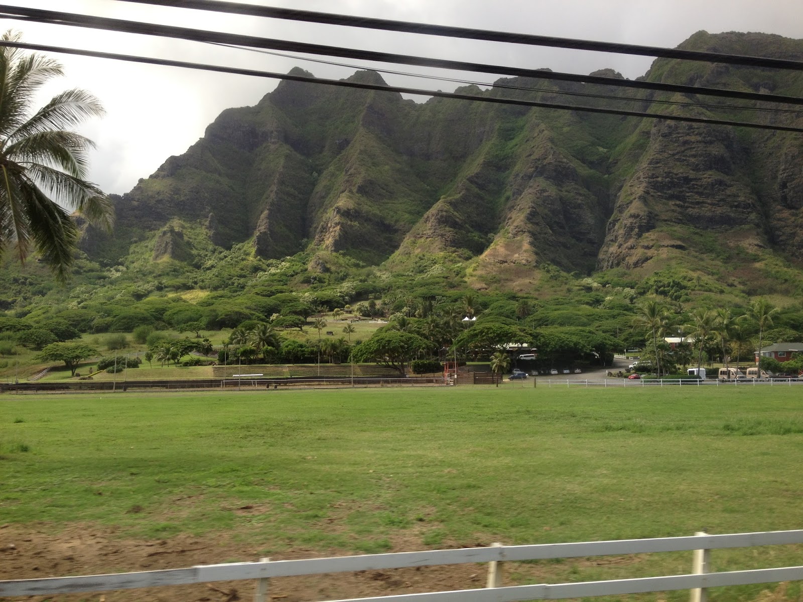 pook rural - philippin news collections