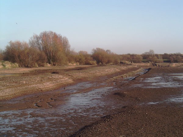 Pit 6 Emptied ~ A1 PITS