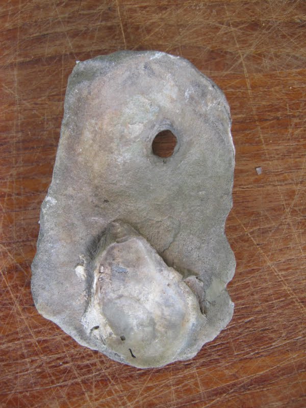 Waking Up on Turtle Island: Stone Plummets or stone fishing weights