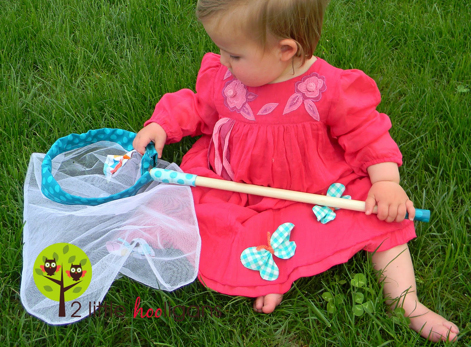 Butterfly Net…or…Bug Catcher?