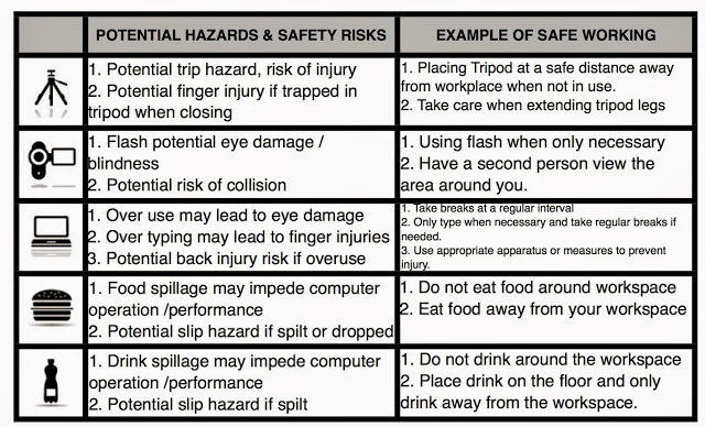 Animation: Risk Assessment for Animation