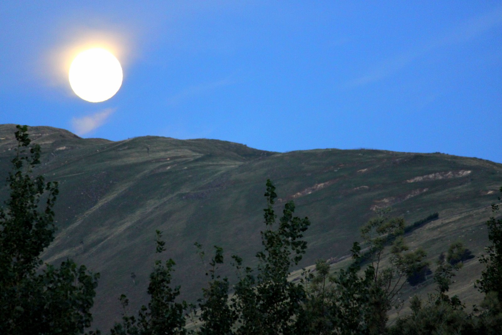 roarprawn: MOON OVER RANGITUMAU