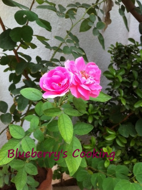 Blueberry's Cooking: The Paneer Rose