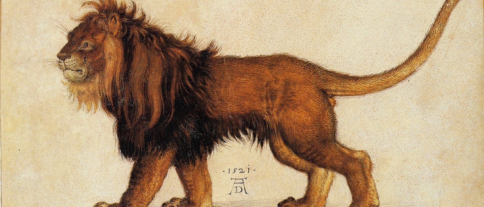 Baúl de Chity: ALBERTO DURERO, PINTOR DE LA NATURALEZA