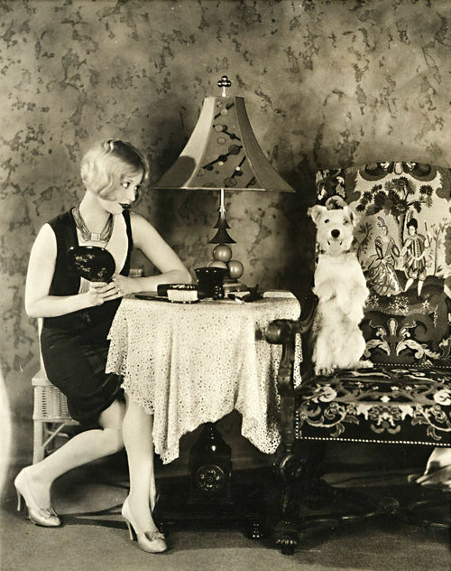 Amusing Muse's Musings: "Alice White 1929" "Alice White, silent film ...