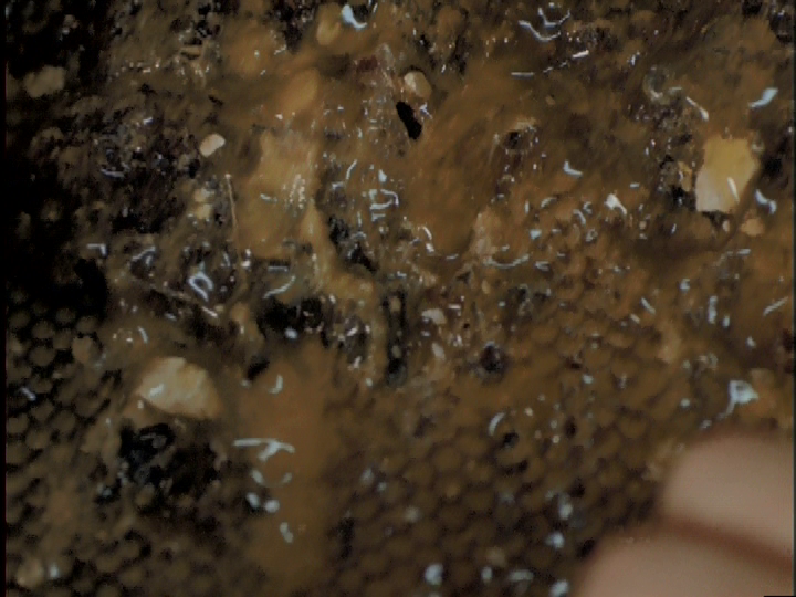 I Want to Review: Case 04, File 21: Zero Sum