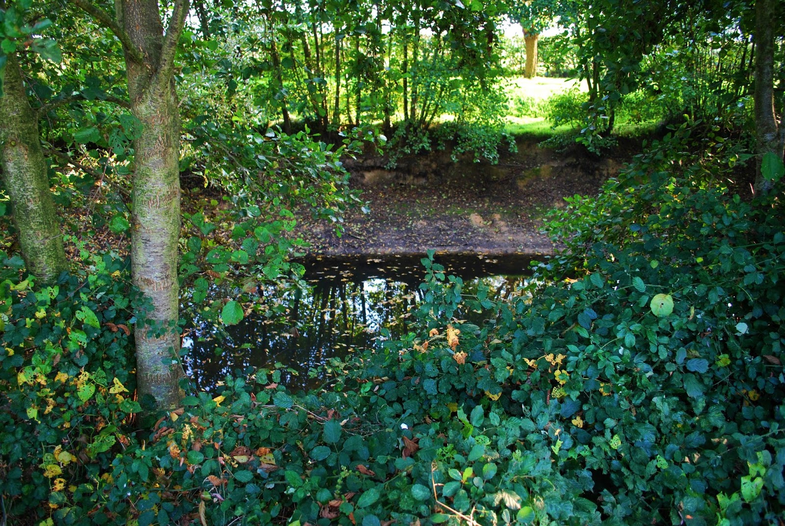 Histoires du Nord 3: A la source de l'Yser à Buysscheure