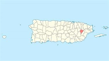 Jornada Espirituales : Juncos (localizacion)