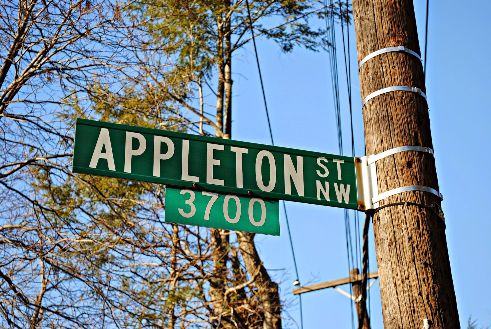 Inside the Yellow House