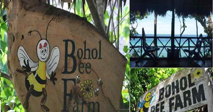Bohol Bee Farm ~ Bohol Tourist Spots
