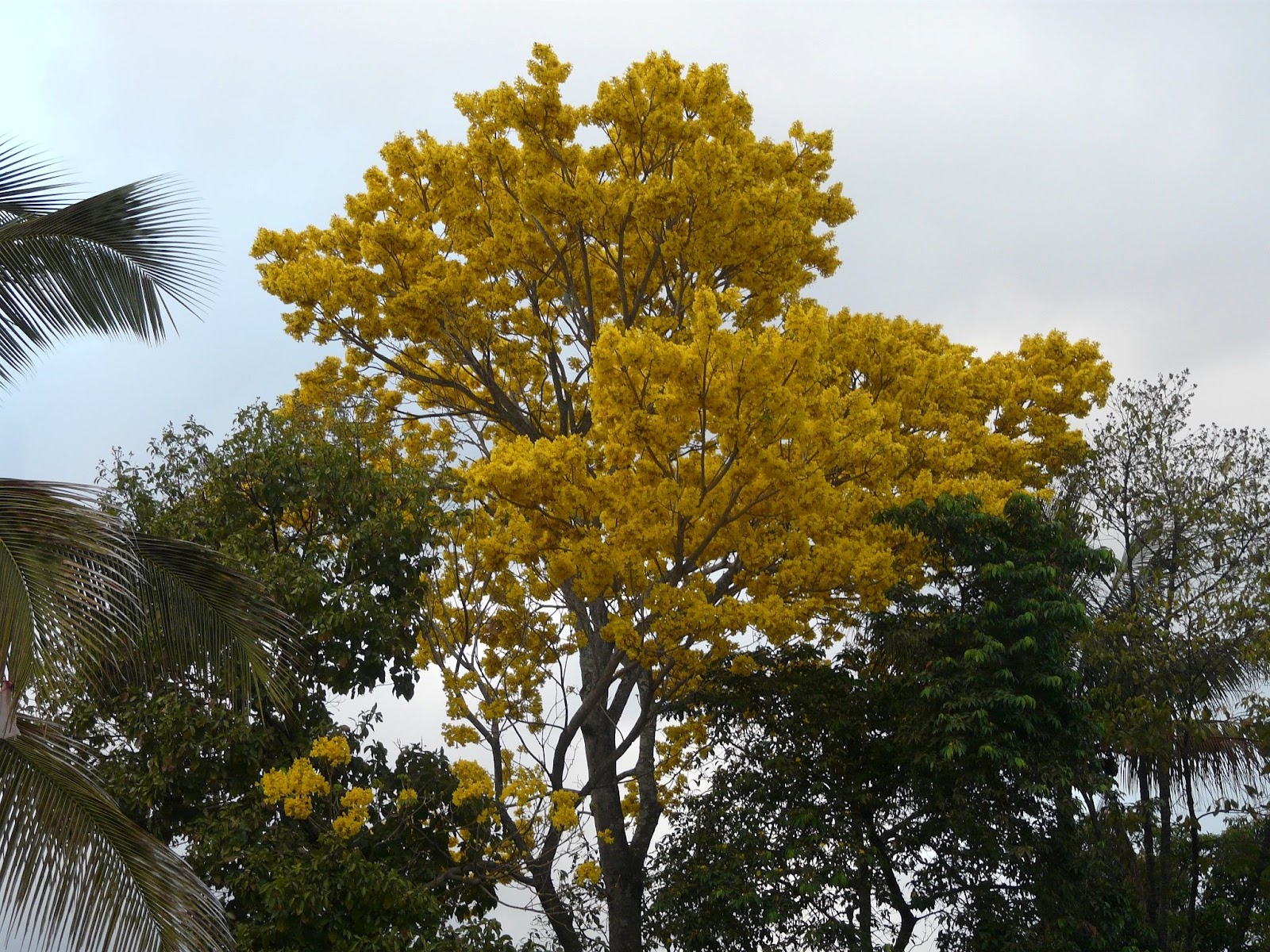 EDUCACIÓN FÍSICA Y OTRAS COSAS: LUGARES Y COSAS DE MI PAIS