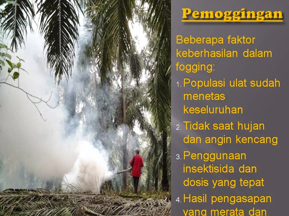 PANDUAN PENGENDALIAN ORGANISME PENGGANGGU TANAMAN (OPT) KELAPA SAWIT ...