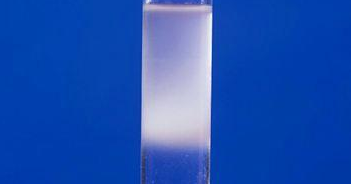 #32 Food test 3 - Emulsion (ethanol) test for Fats | Biology Notes for ...