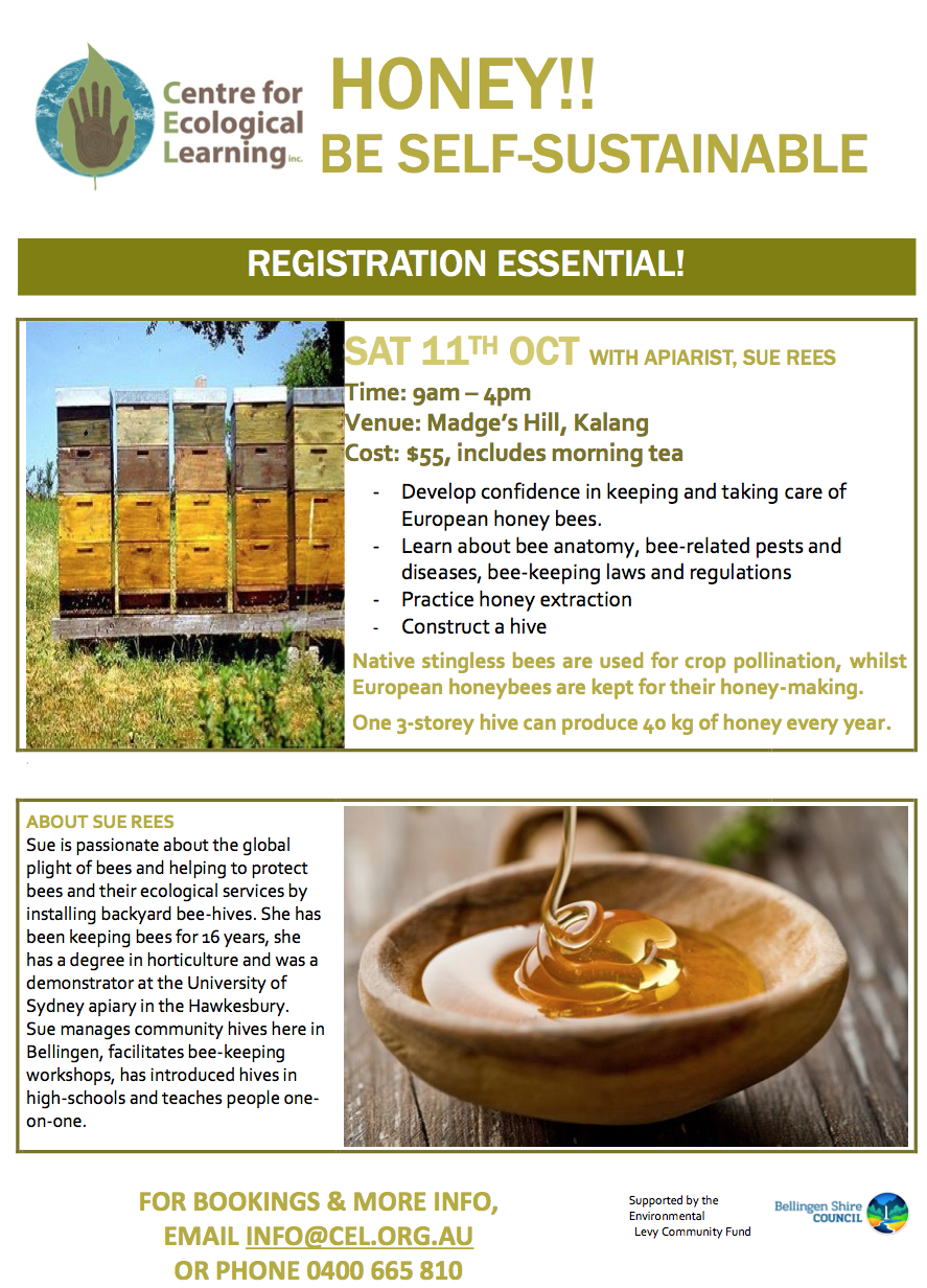 Transition Bellingen: Honey!! Be Self-Sustainable Bee workshop Saturday ...