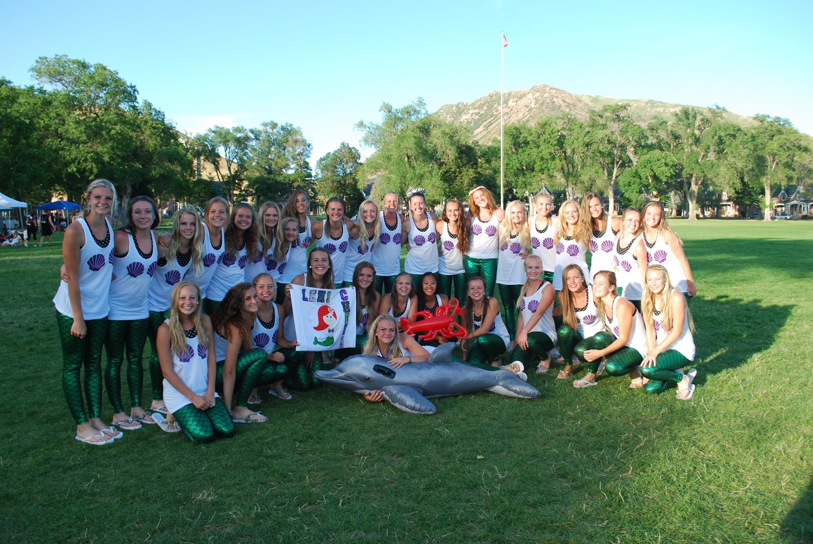 LEHI HIGH SCHOOL CHEER: 2015-2016 CHEER TEAM PHOTOS