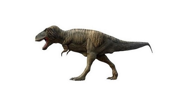 Tyrannosaurus rex: el rey de los dinosaurios - LOS DINOSAURIOS