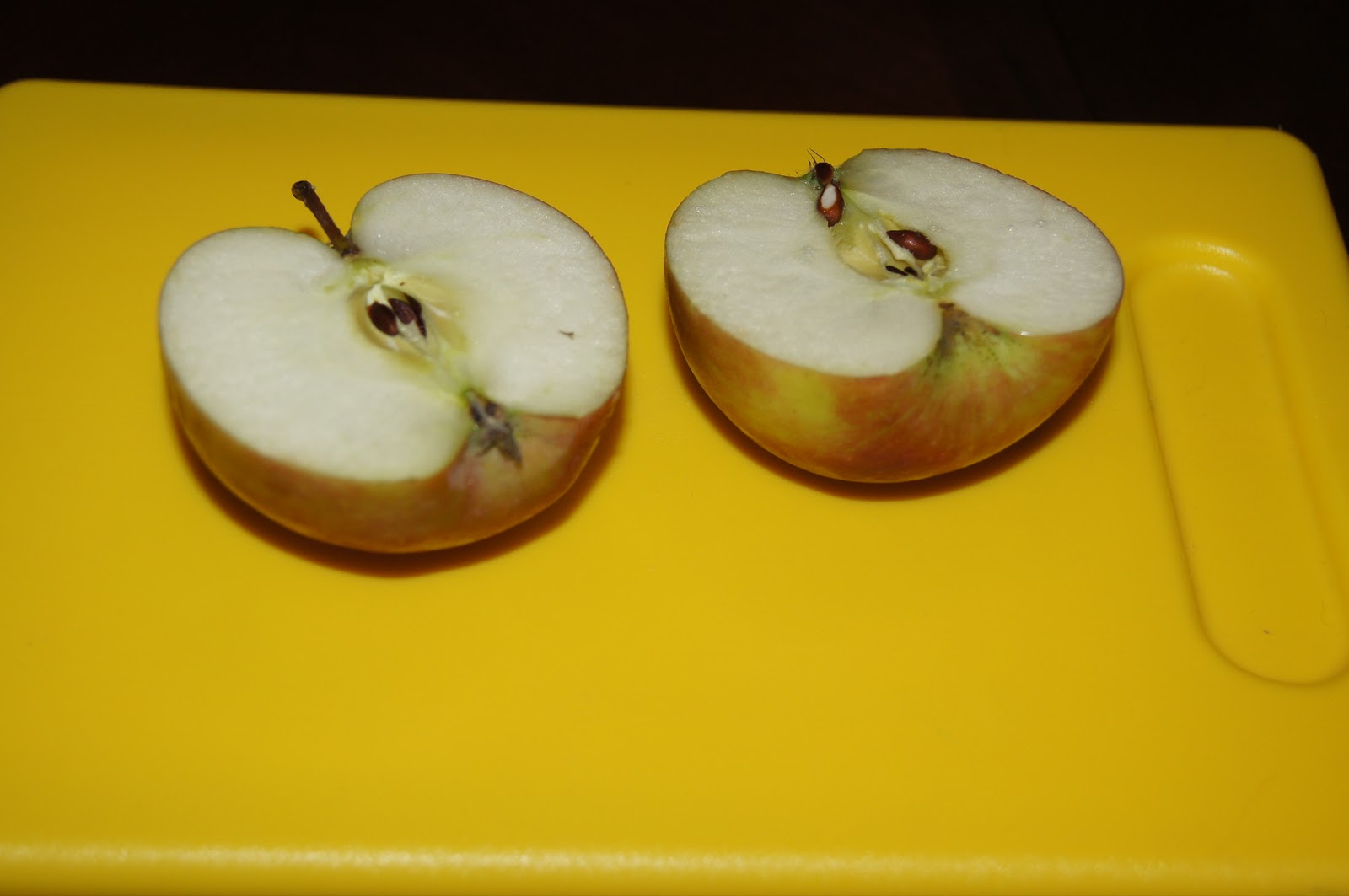 "Making Montessori Ours": Montessori Early Fractions, Fractions At Home