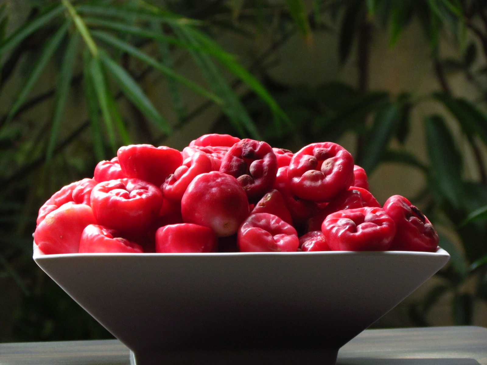 1784: A Bowl-ful of Macopa