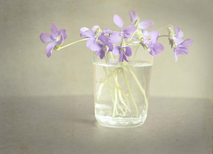 Oh Joy! Photography: Life is a Verb {Columbus Ohio Photographer}