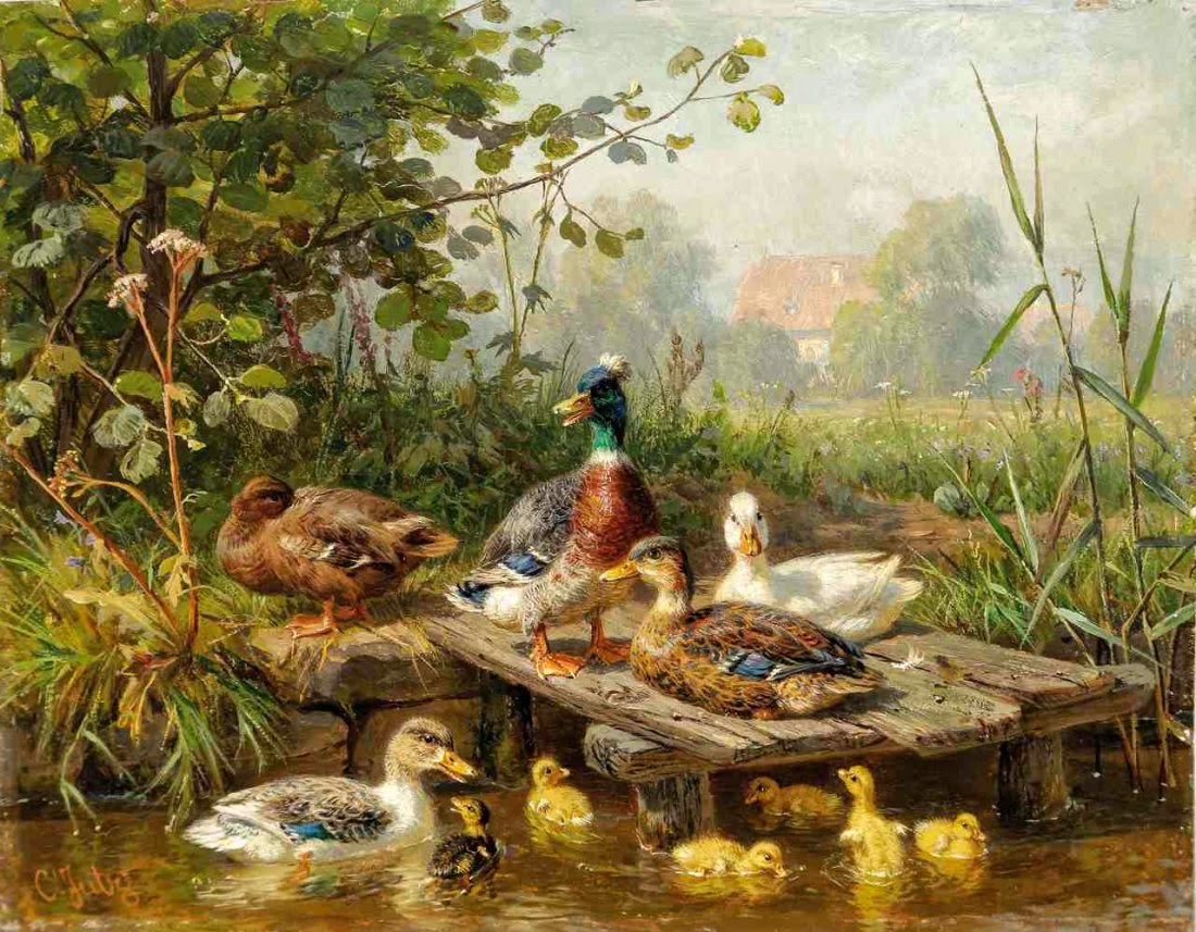 Viático de Vagamundo: Ducks by Carl Jutz the elder
