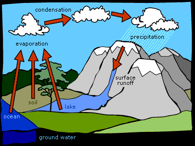 Mrs. Remis' Science Blog - 5th Grade: WATER CYCLE