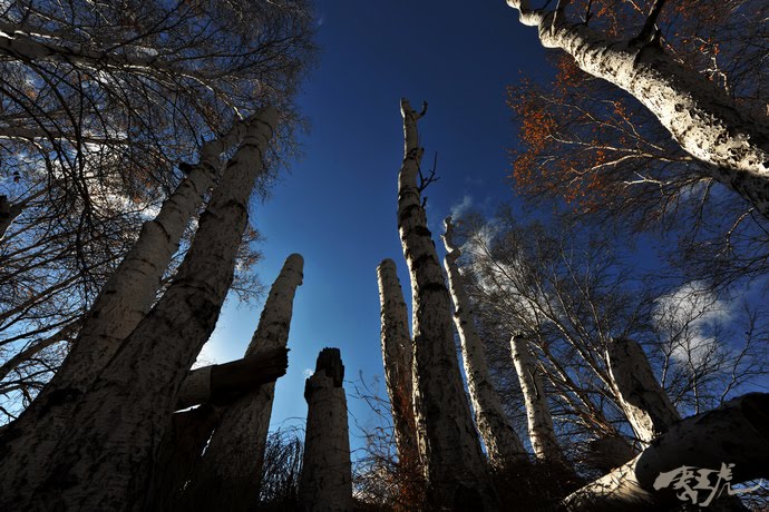 Bentham Longfellow: The Beautiful Autumn Scenery of Wulanbutong Grassland