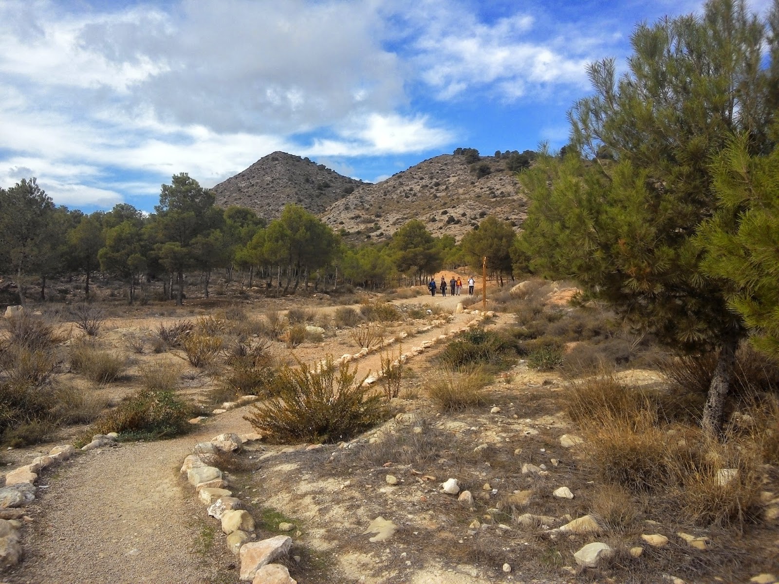 ANDAR PA HACER HUECO: CALASPARRA. SIERRA DE SAN MIGUEL-CASTILLO DE ...