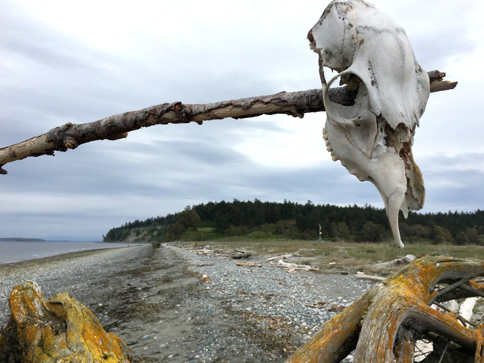 Gravel Beach: Travis Spit