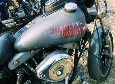 BOOGIE RAGS BLOG: FOOLS LABOR DAY PARTY.....