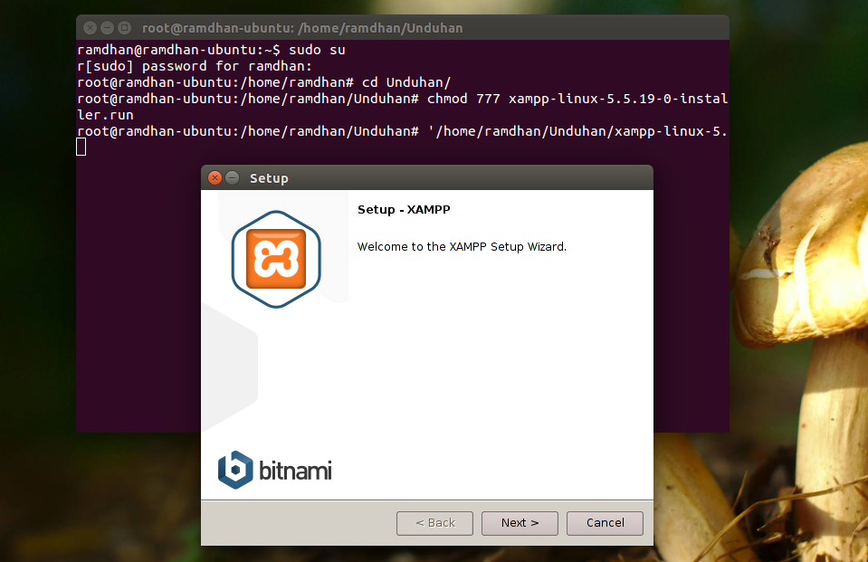 Cara mudah install Xampp di ubuntu - Ngoding Seru Cara mudah install Xampp di ubuntu - Ngoding Seru