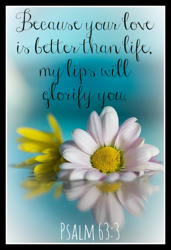 Sewn With Grace: Sunday Scripture