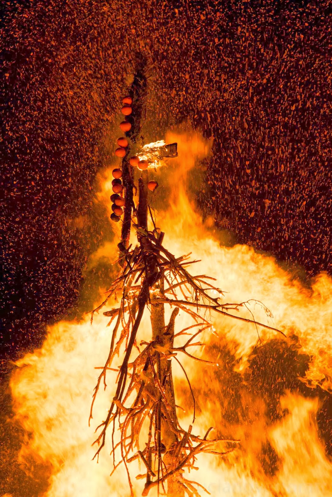 TRAVEL PHOTOGRAPHY : LA FESTA DEL FUOCO - SANT'ANTONIO ABATE - CALA GONONE