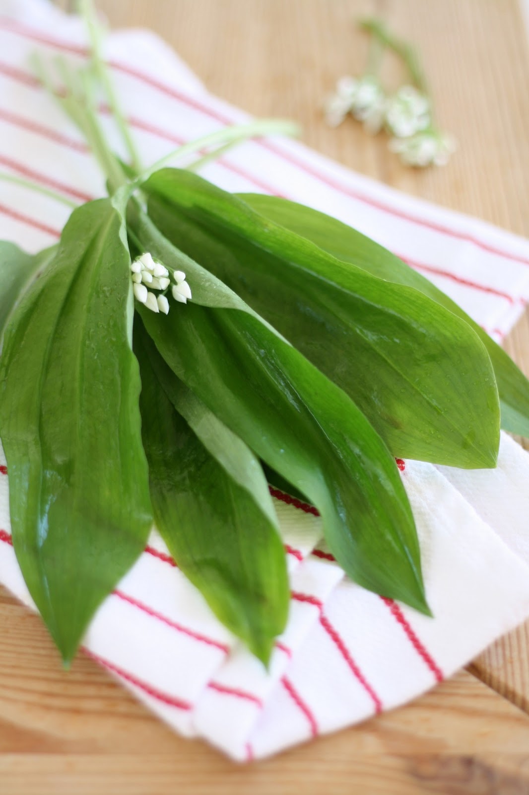 The Intercultural Kitchen