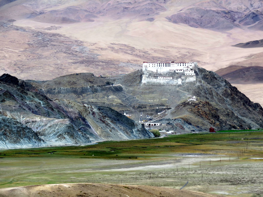 Just About Everything: Birds, Mammals, and Landscapes from the scenic ...