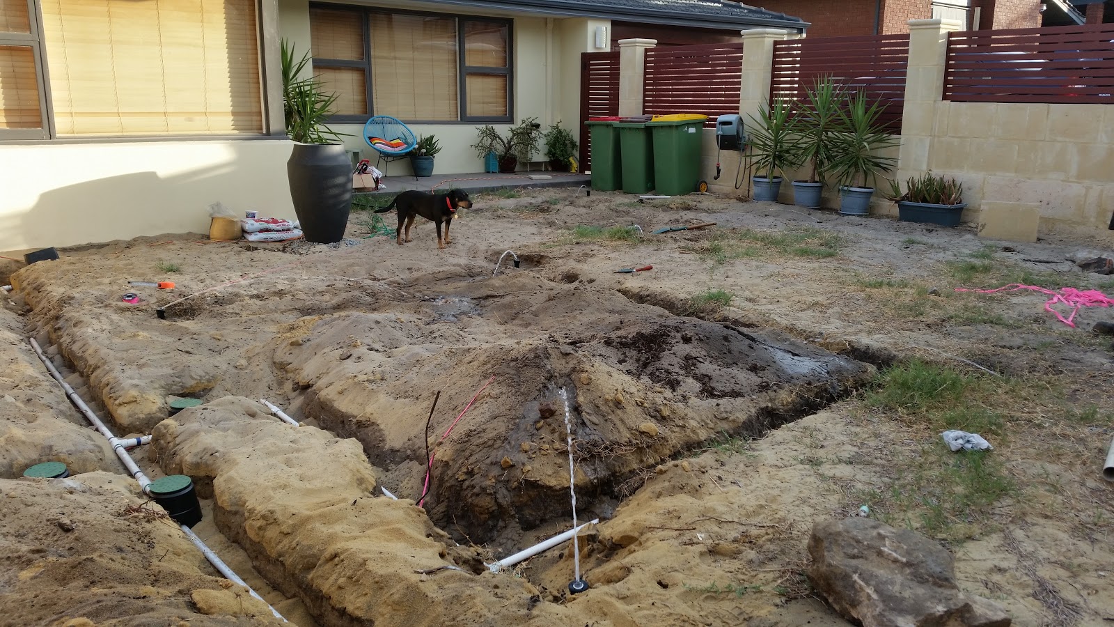Jarrah Jungle: Courtyard Garden: Setting Up Automatic Reticulation And ...