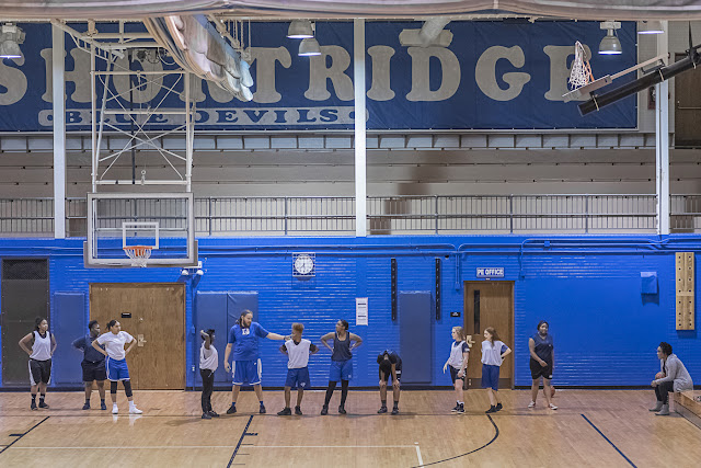 Hoosier Hardwood: shortridge & much more