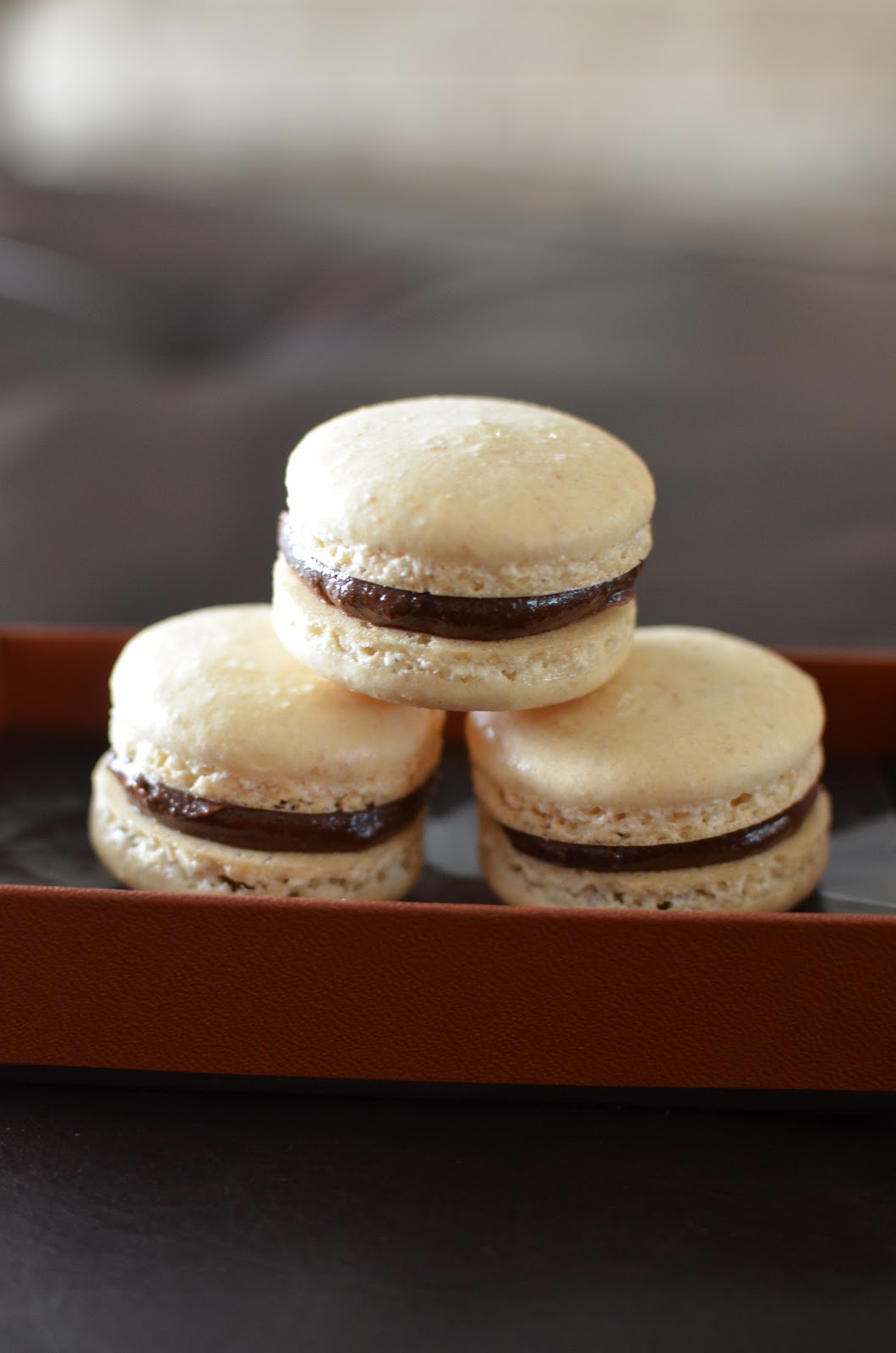 Playing with Flour: Hazelnut macarons with gianduja ganache
