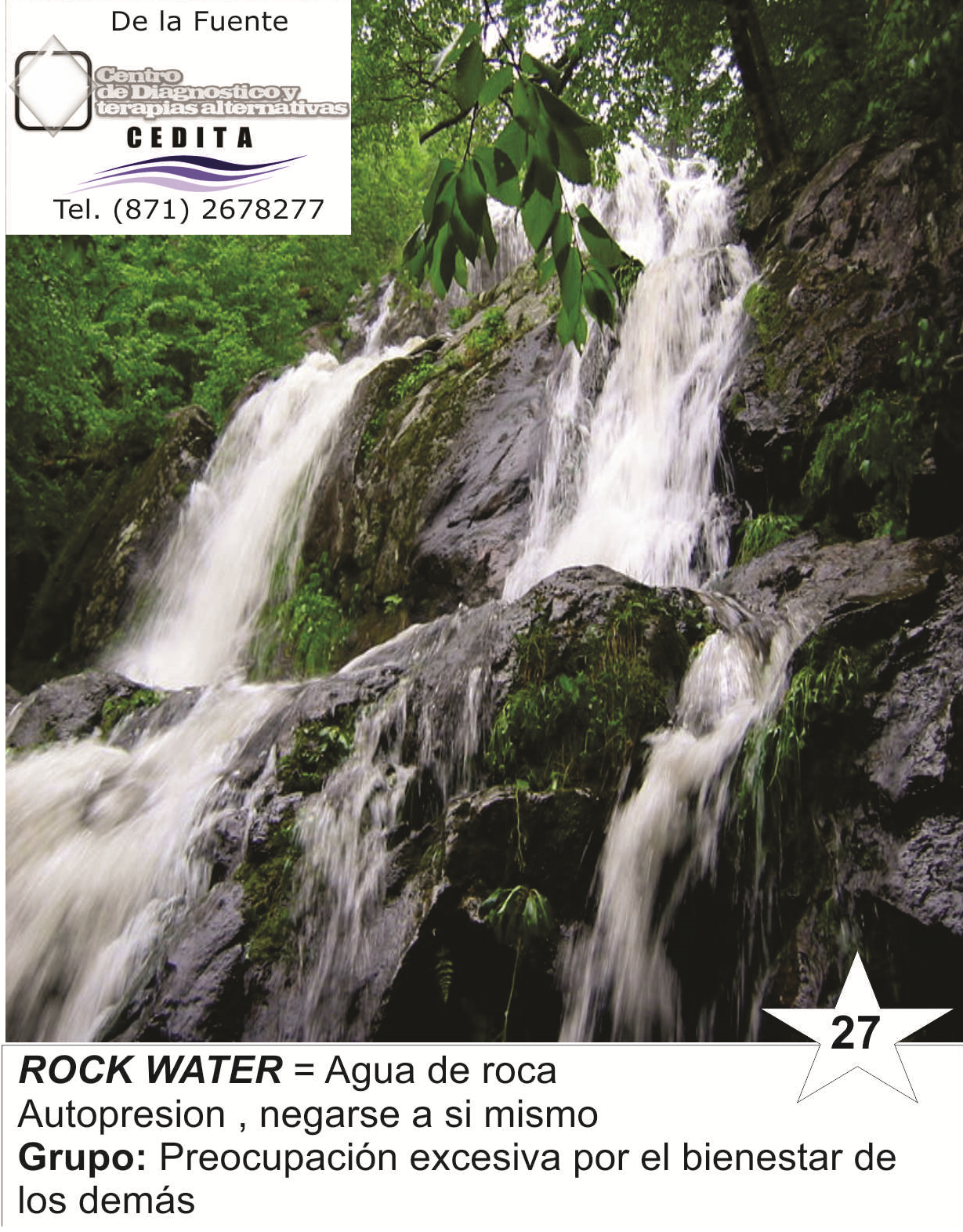 Flores de Bach México: 27 ROCK WATER / AGUA DE ROCA Característica ...