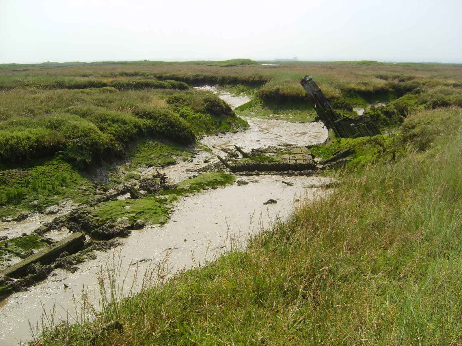 Notes from Kent's Hoo Peninsula: Think you’re tough?
