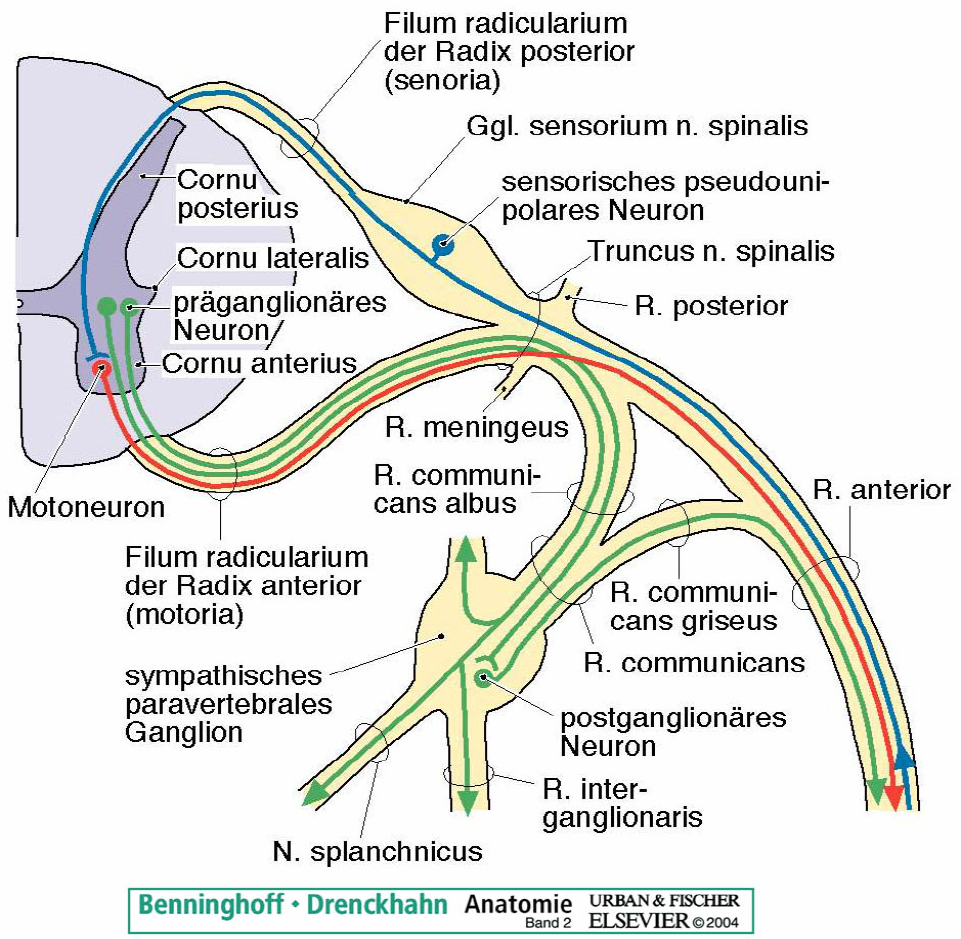 Autumn itu Maple: Februari 2014