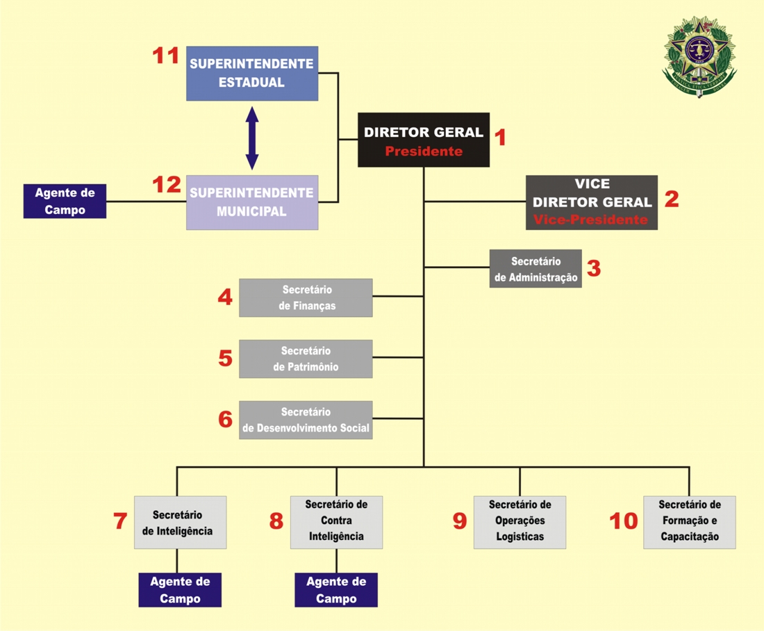 documentoanpip: ORGANOGRAMA FUNCIONAL