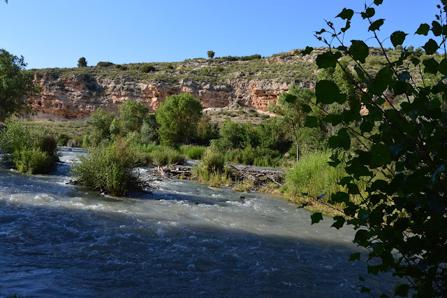 Blog de campo y minerales: En busca del fresco por la ribera del río.