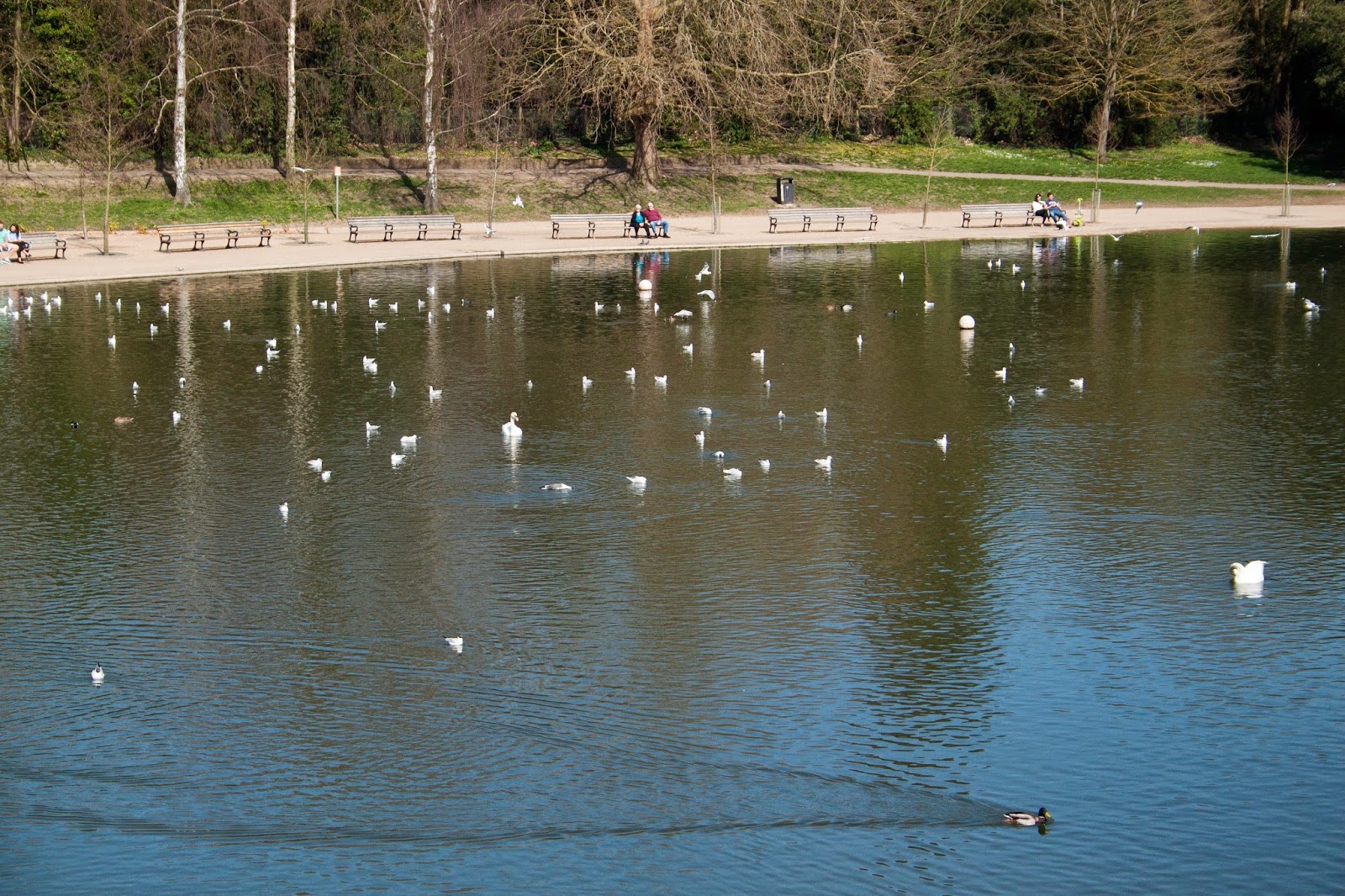 Trev's photo blog: Mote Park