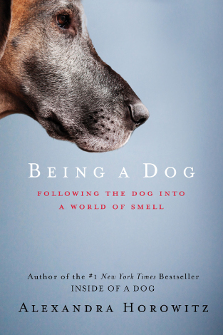 Smorgasbook: Being a Dog by Alexandra Horowitz