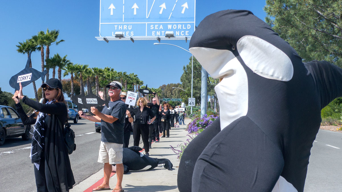 Eye Paint Art: A New Vision for SeaWorld at 50!