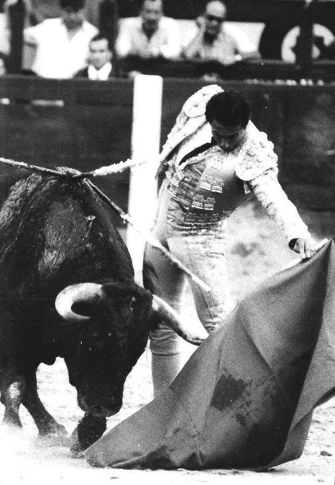 Toro, Torero y Afición: Sobre Manolo Cortés