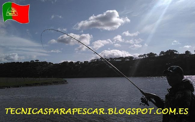 TÉCNICAS PARA PESCAR: EL FEEDER