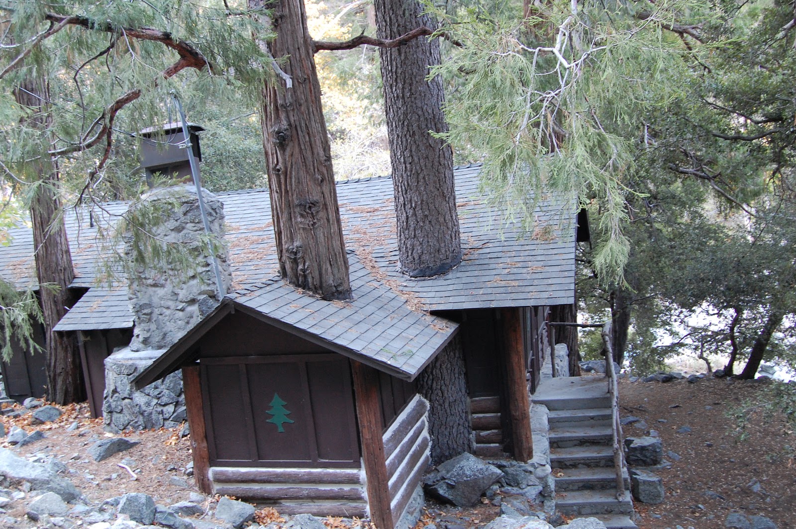 Hiking Timber Mountain | East West Hike