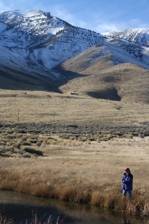 Dispatches from the Wild World: Flyfishing Nevada's Ruby Valley