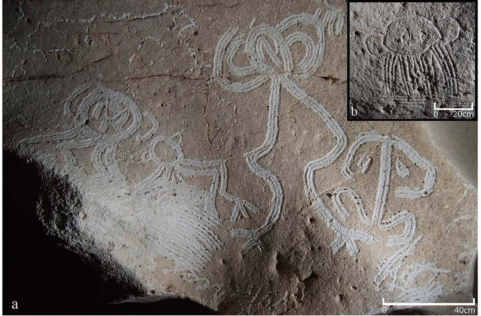 Rock Art Blog: CARIBBEAN ROCK ART - PUERTO RICO: